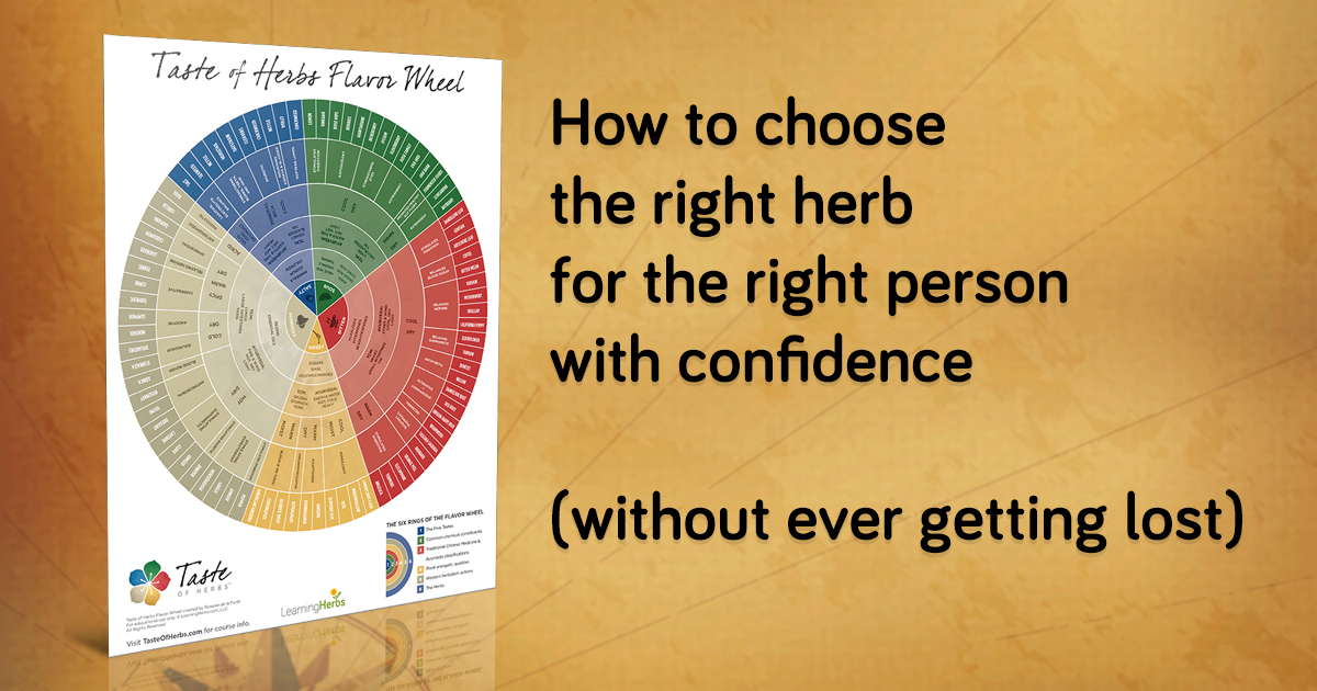 How to Choose the RIGHT Herb With Confidence – Mind Body and Sole