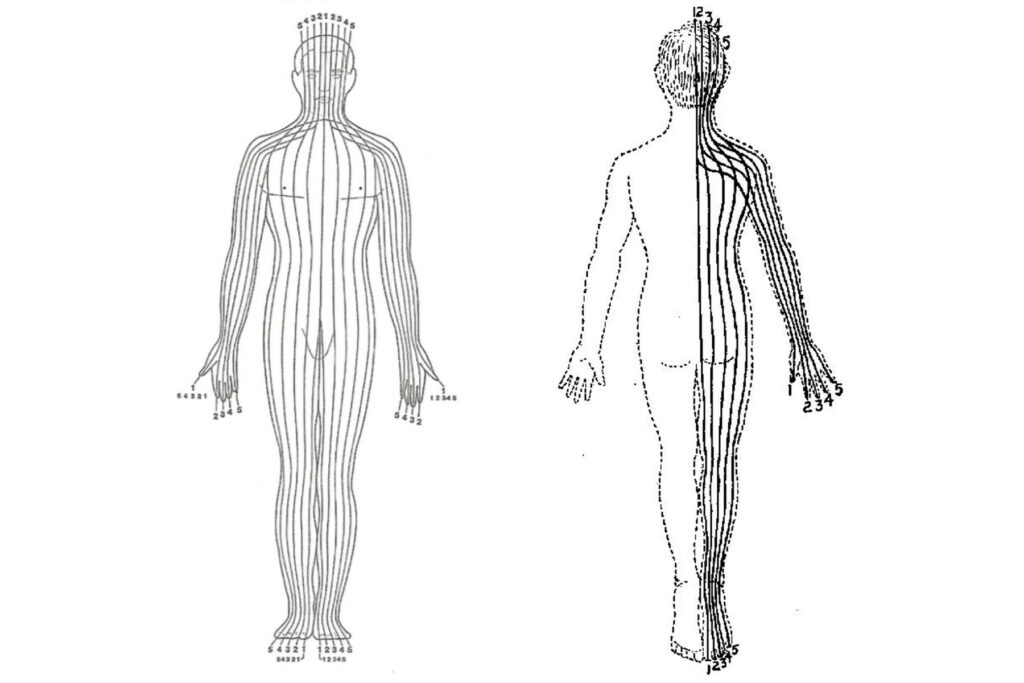 Introduction to Foot Zone Therapy – Mind Body and Sole